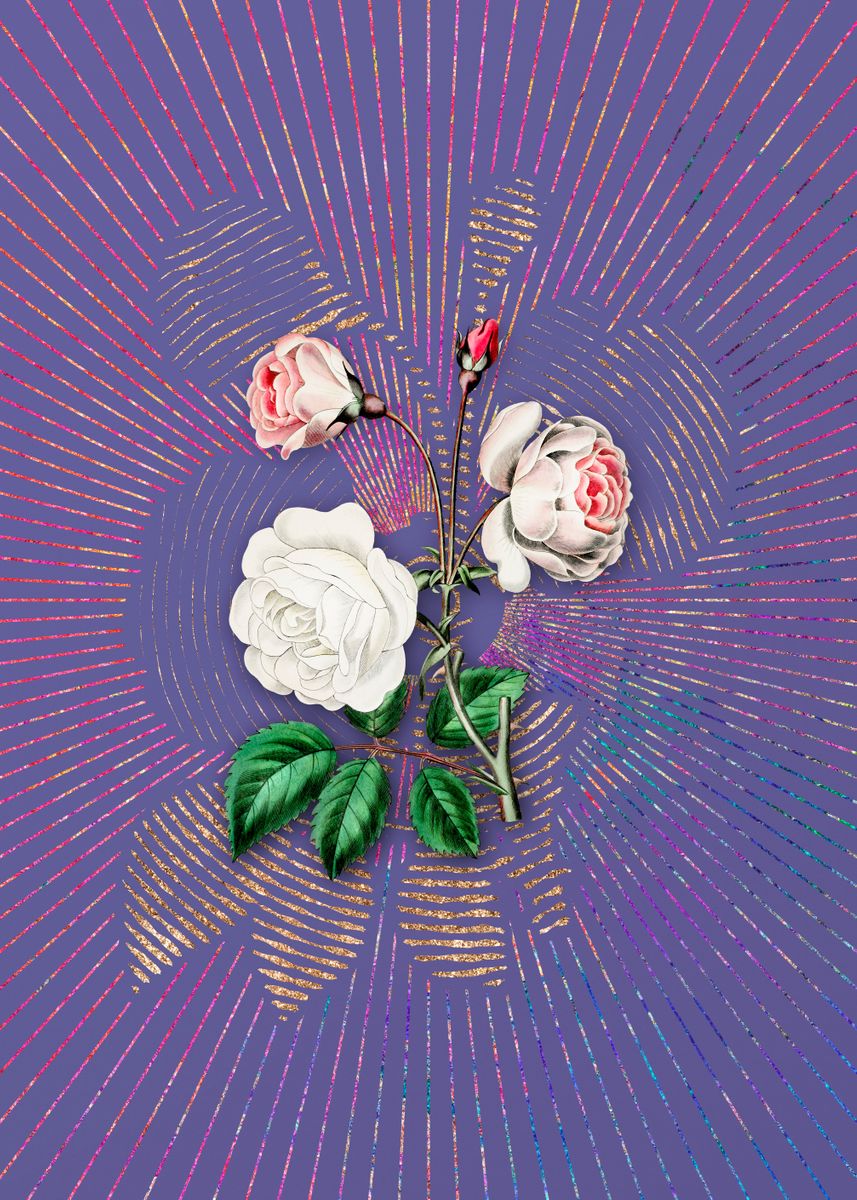 'Ruga Rose Flower Flora' Poster, picture, metal print, paint by Holy ...