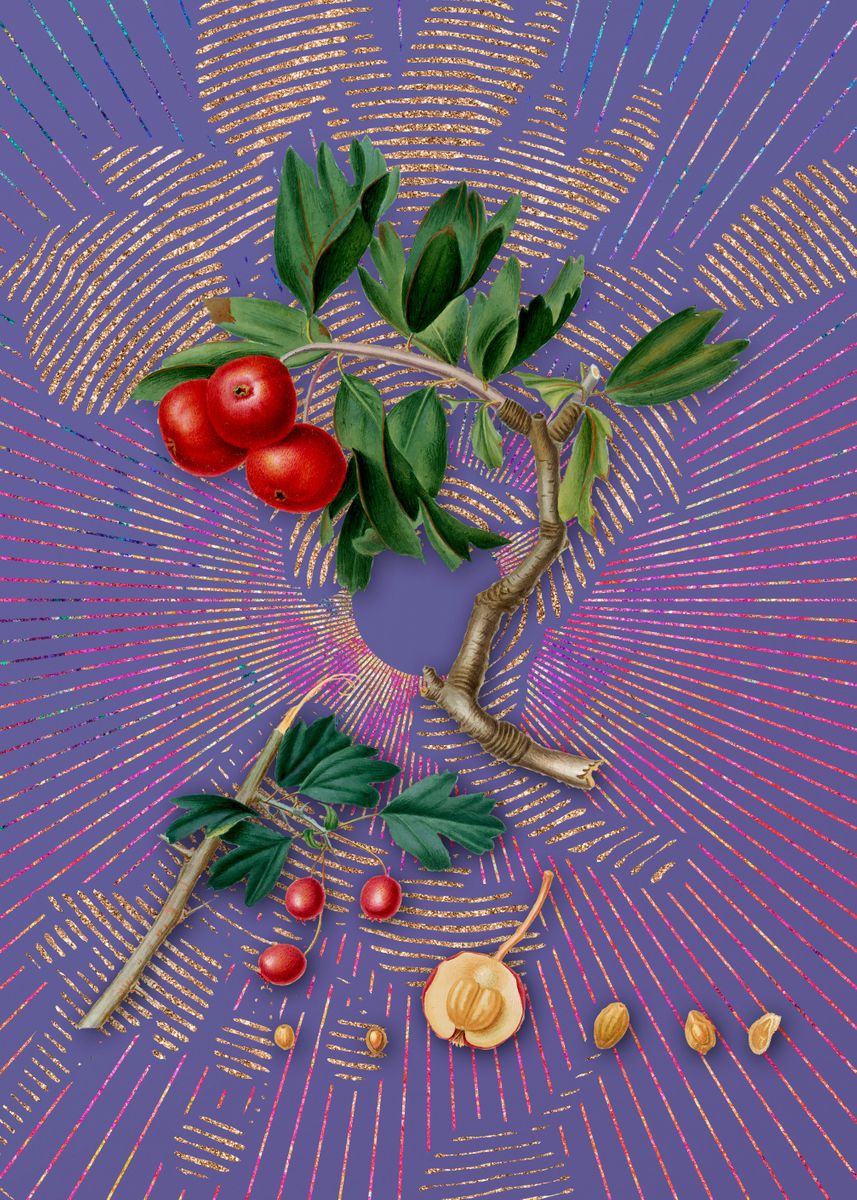 'Red Thorn Apple Violet' Poster by Holy Rock Design | Displate