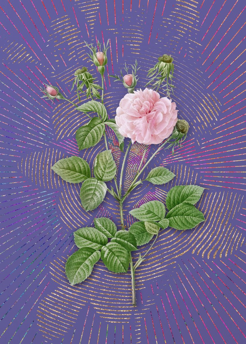 'Pink Agatha Rose 3' Poster by Holy Rock Design | Displate