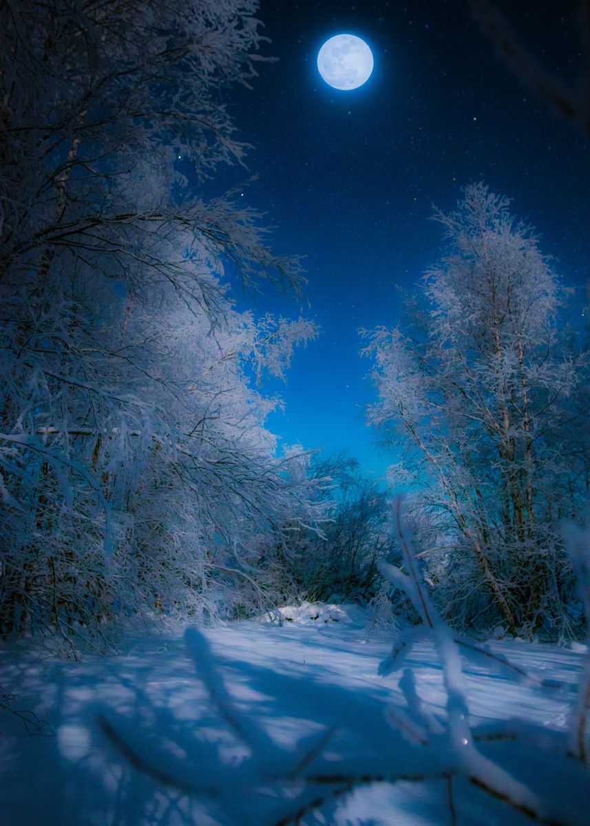 'Blue moment' Poster by Mikko Pekkala | Displate