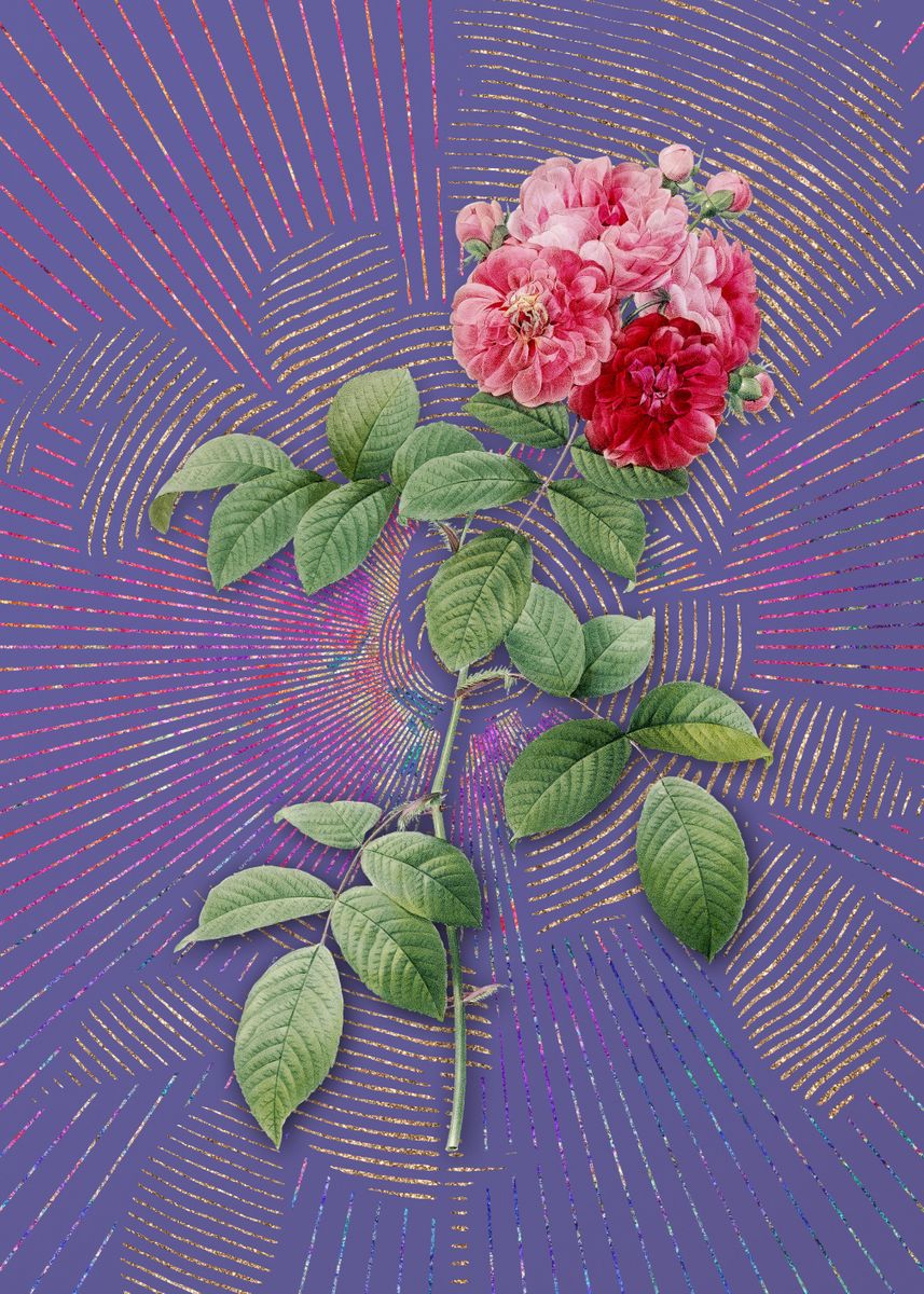 'Seven Sisters Roses Purple' Poster by Holy Rock Design | Displate