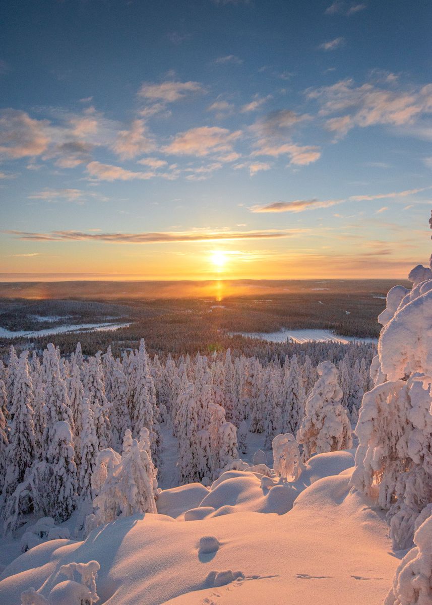 'Dawn' Poster, picture, metal print, paint by Mikko Pekkala | Displate