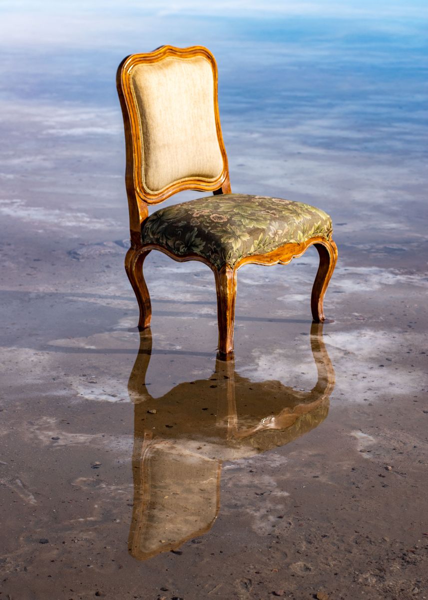 'Sitting In Reflection' Poster by James Suarez | Displate