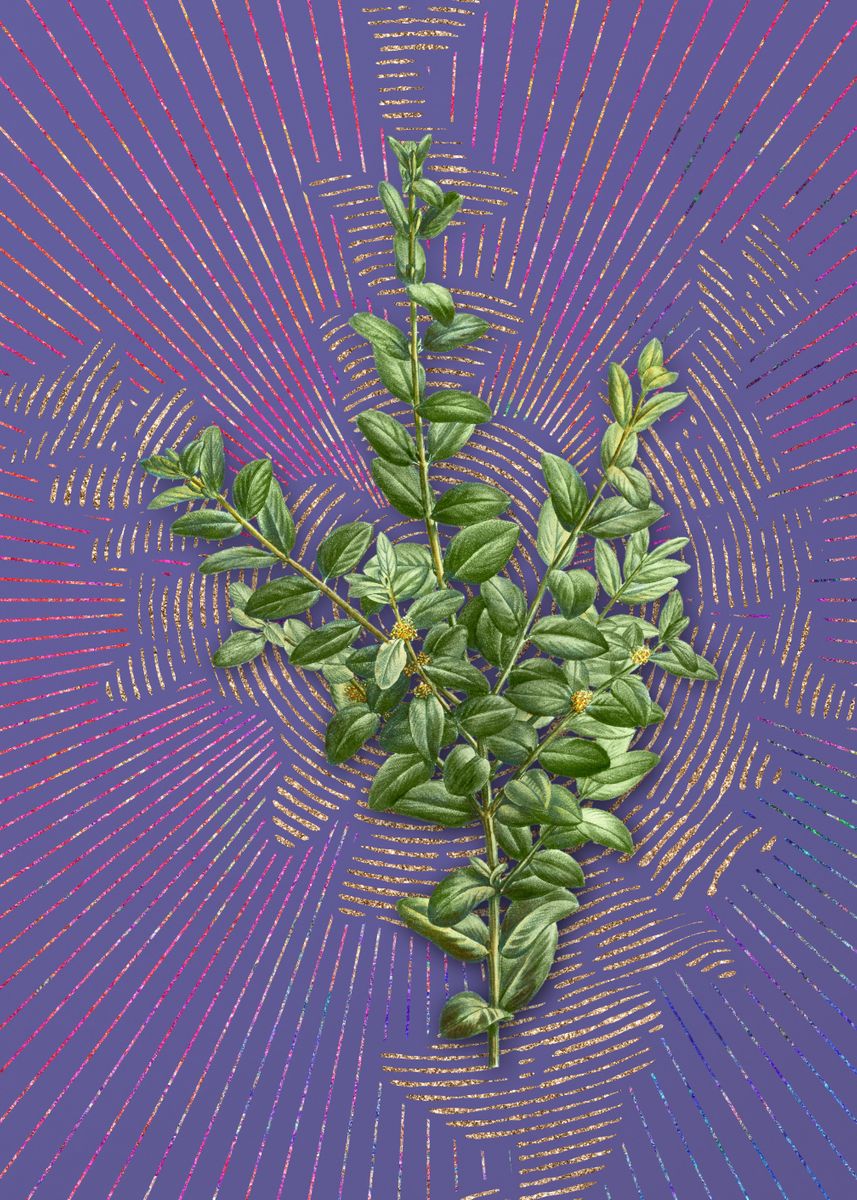 'Vintage Boxwood Bush Art' Poster, picture, metal print, paint by Holy ...