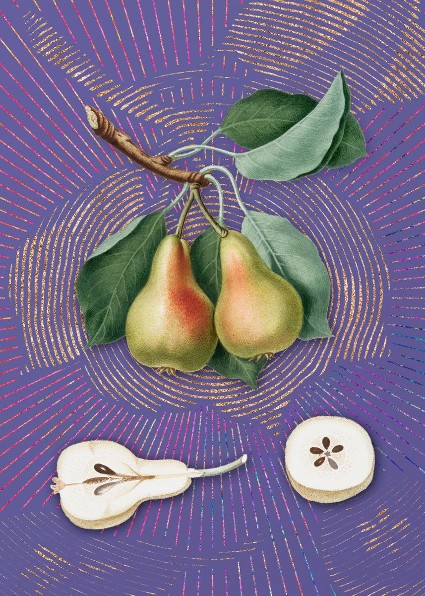 'Vintage Pear 15 Violet' Poster by Holy Rock Design | Displate