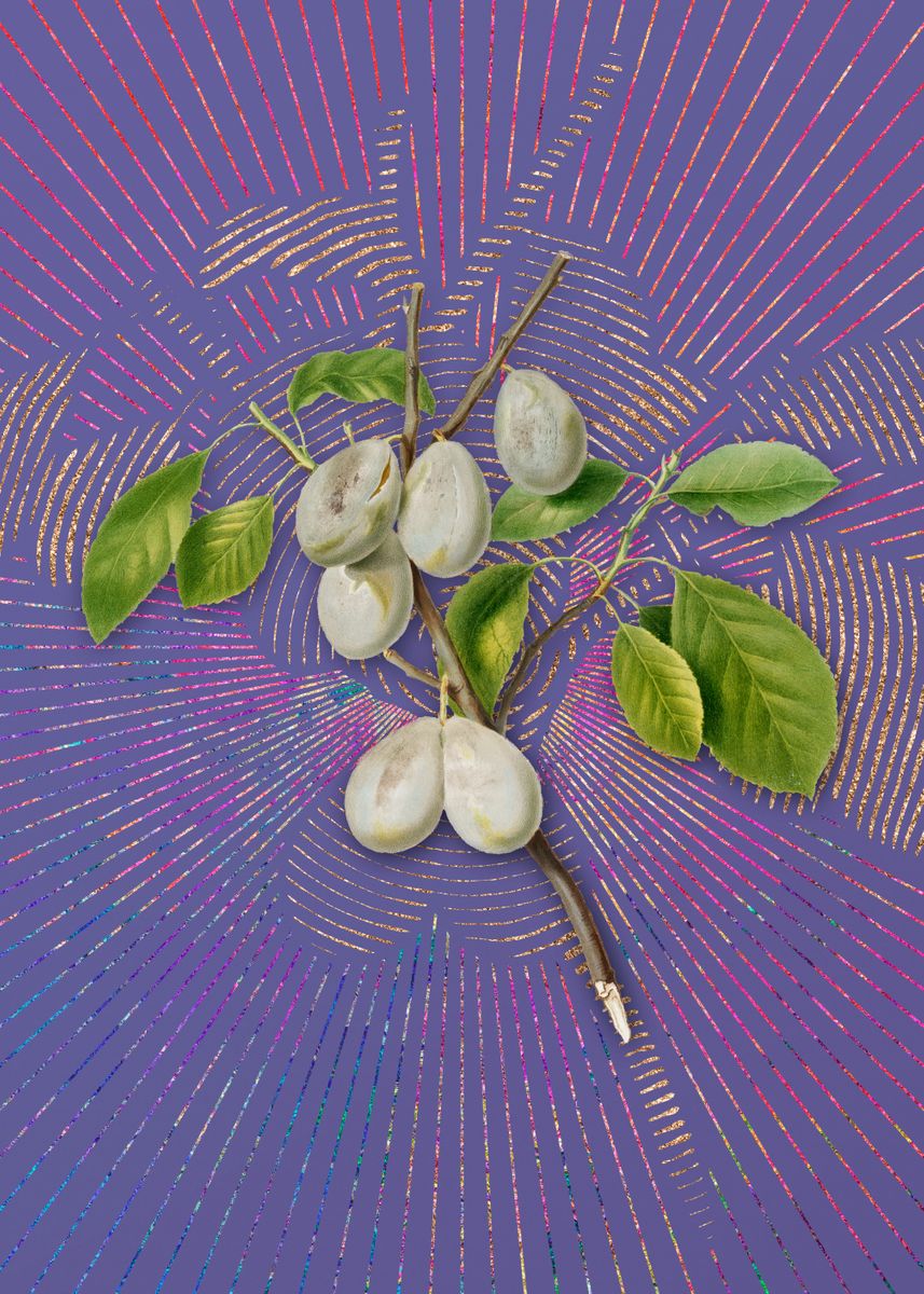 'Vintage Plum on Purple' Poster by Holy Rock Design | Displate