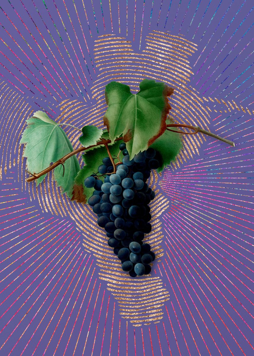 'Vintage Grape Vine 4 Art' Poster by Holy Rock Design | Displate