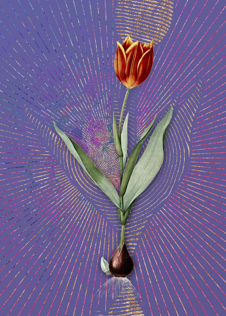'Vintage Tulip 2 Violet' Poster by Holy Rock Design | Displate