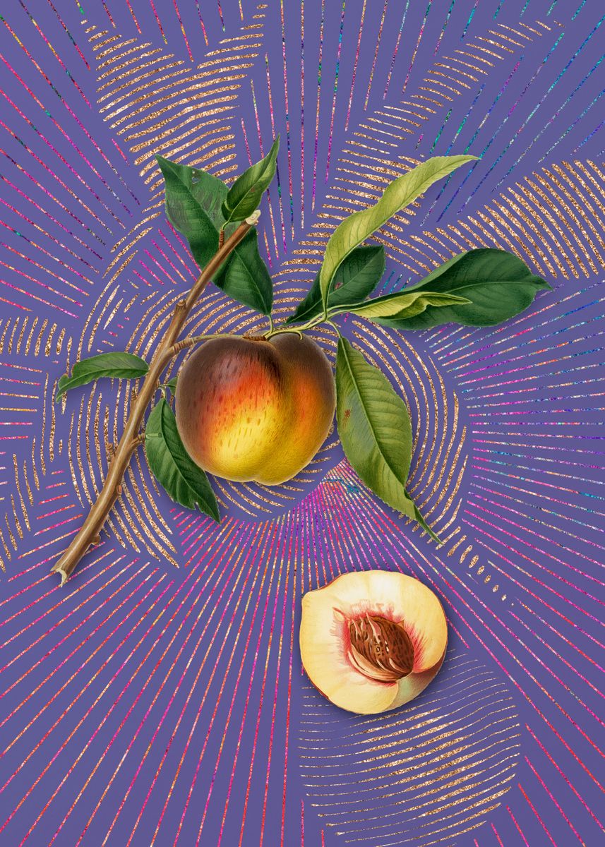 'Vintage Peach 11 Fruit' Poster, picture, metal print, paint by Holy ...