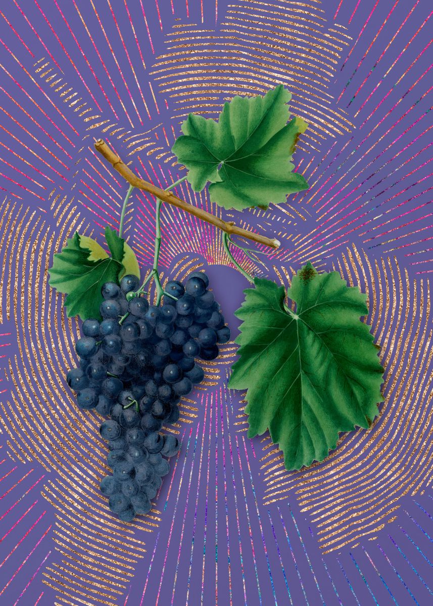'Vintage Lacrima Grapes' Poster, picture, metal print, paint by Holy ...