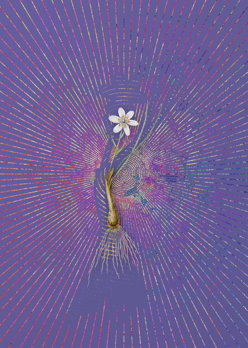 'Vintage Snowdon Lily Art' Poster, picture, metal print, paint by Holy ...