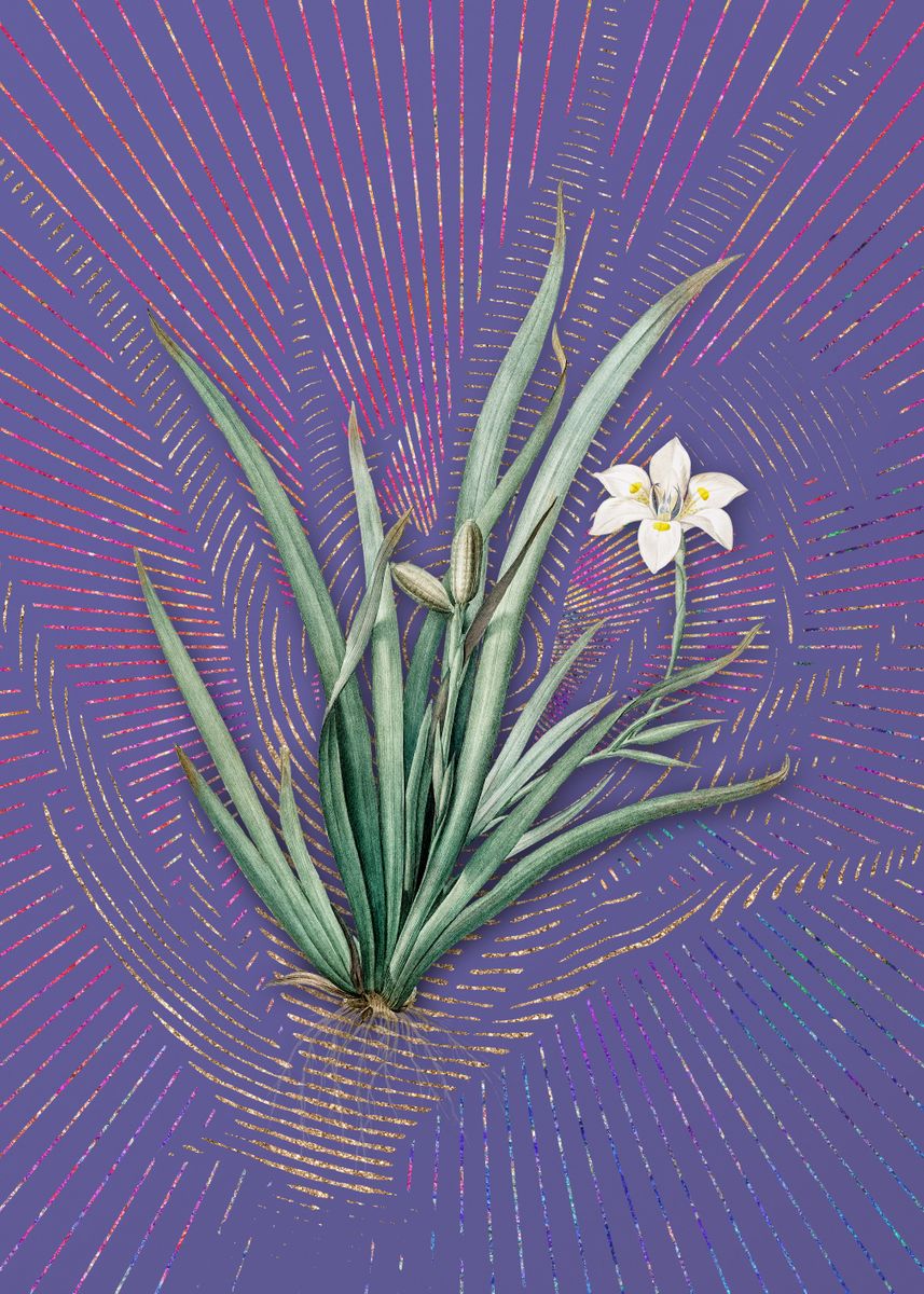 'Vintage Fortnight Lily' Poster by Holy Rock Design | Displate