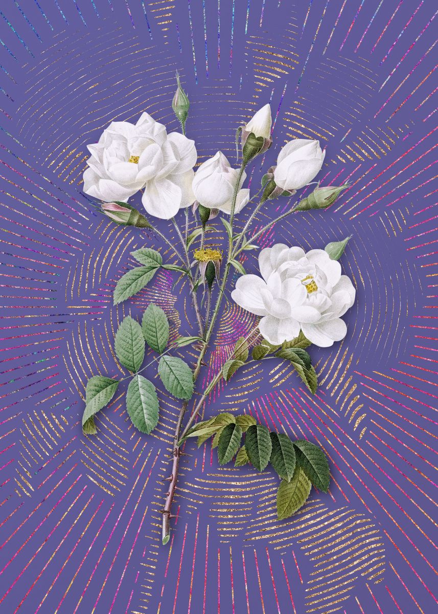 'Vintage White Rose 2 Art' Poster by Holy Rock Design | Displate