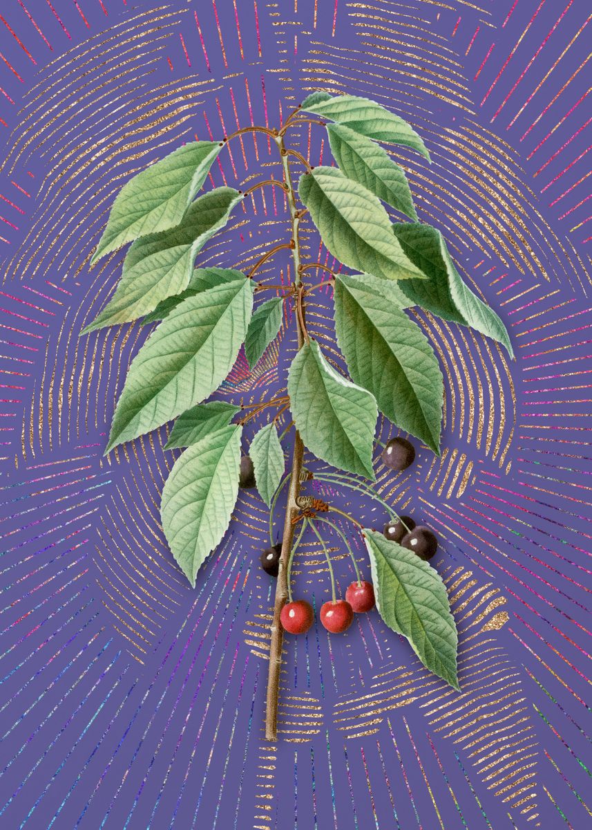 'Vintage Wild Cherry Purple' Poster by Holy Rock Design | Displate