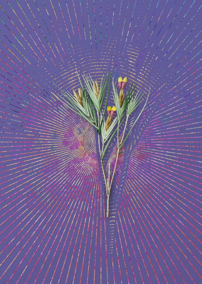 'Vintage Witsenia Maura' Poster, picture, metal print, paint by Holy ...