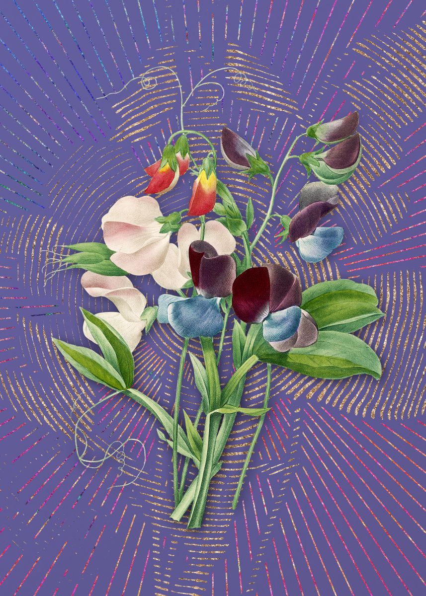 'Violet Vintage Sweet Pea' Poster, picture, metal print, paint by Holy ...