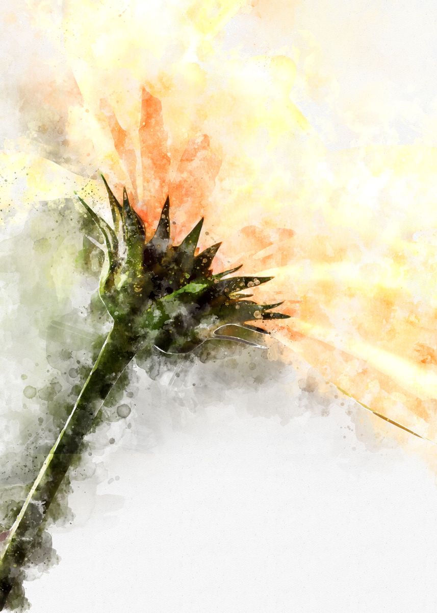 'Abstract yellow Calendula' Poster, picture, metal print, paint by ...