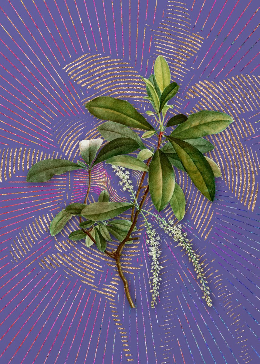 'Violet Swamp Titi Leaves' Poster by Holy Rock Design | Displate