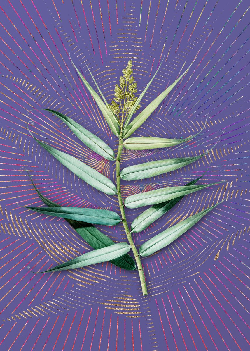 'Violet Vintage Bush Cane' Poster, picture, metal print, paint by Holy ...