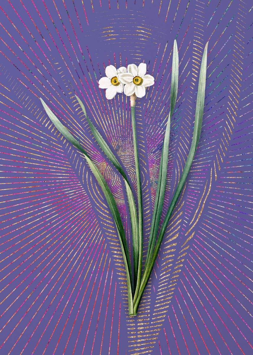 'Violet Primrose Peerless' Poster, picture, metal print, paint by Holy ...