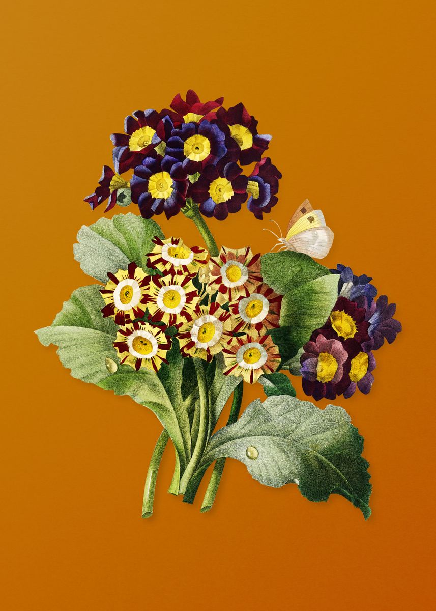 'Vintage Antique Flower' Poster by Holy Rock Design | Displate