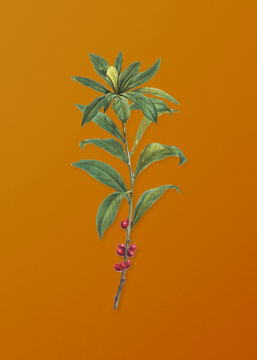 'February Daphne Flowers' Poster by Holy Rock Design | Displate