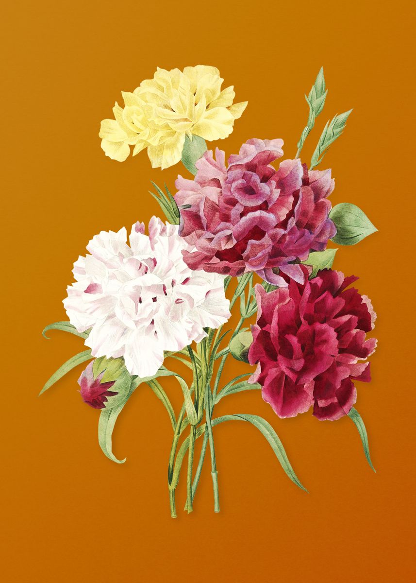 'Vintage Carnation Flower' Poster, picture, metal print, paint by Holy ...