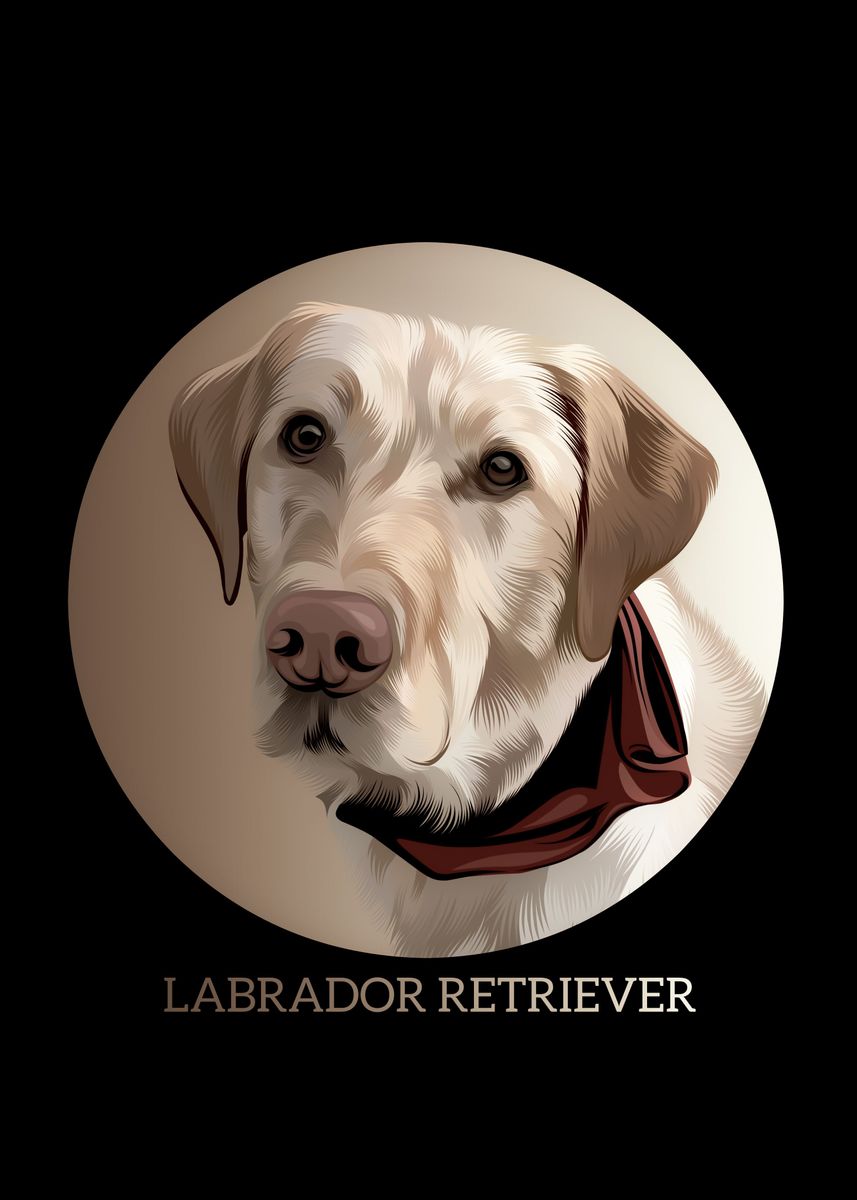 'Labrador Retriever' Poster, picture, metal print, paint by Muh Aslan ...