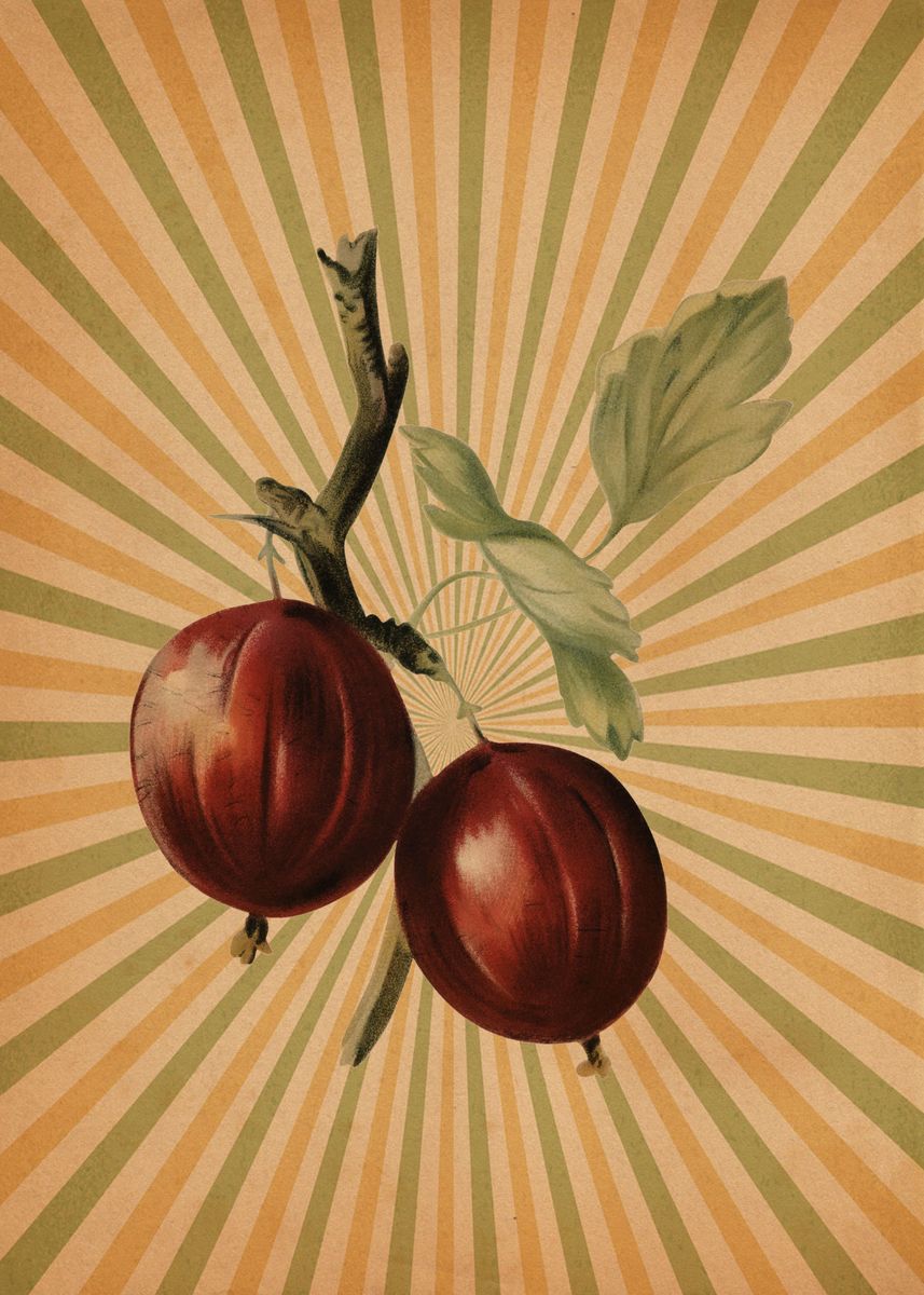 'Vintage Decor Berry 01' Poster by Luis Peres | Displate