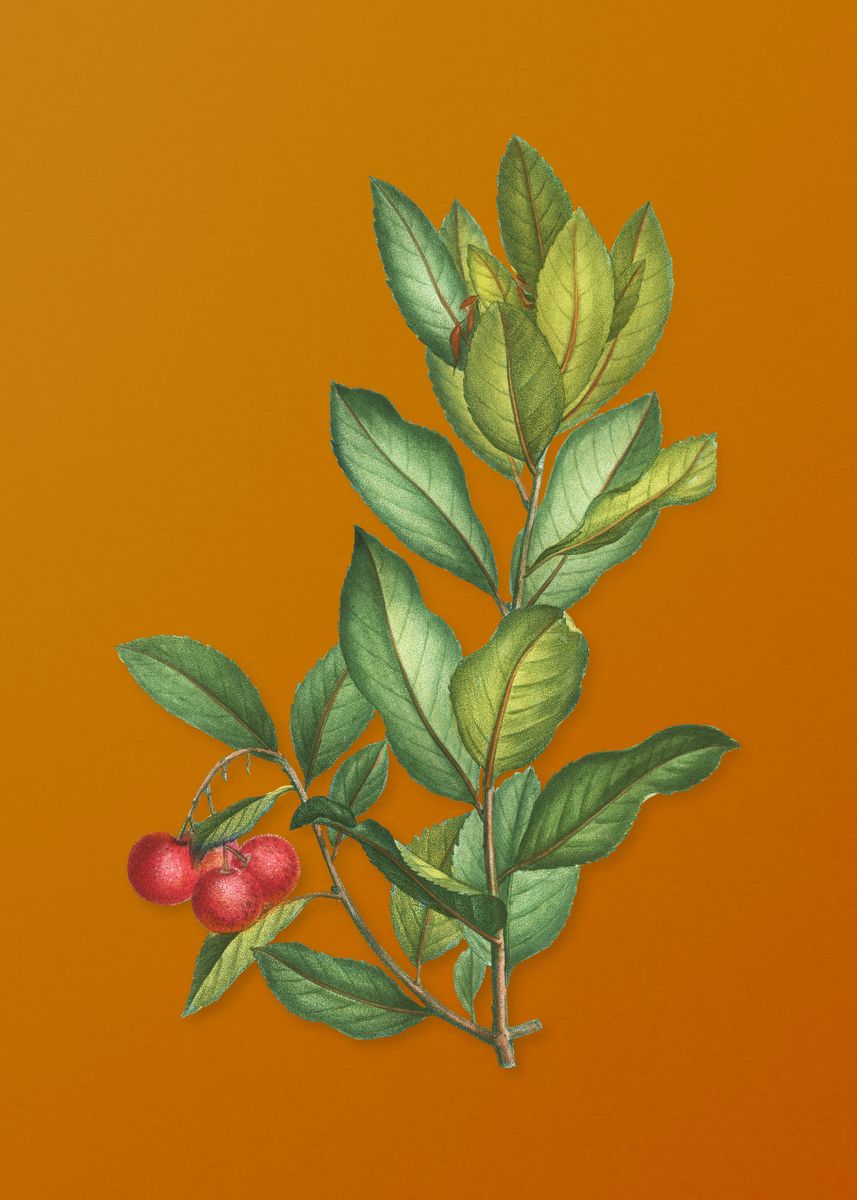 'Strawberry Tree Branch' Poster by Holy Rock Design | Displate