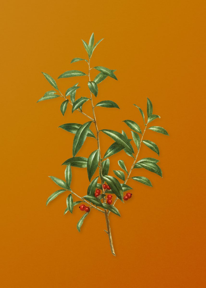 'Alabama Dahoon Branch' Poster by Holy Rock Design | Displate