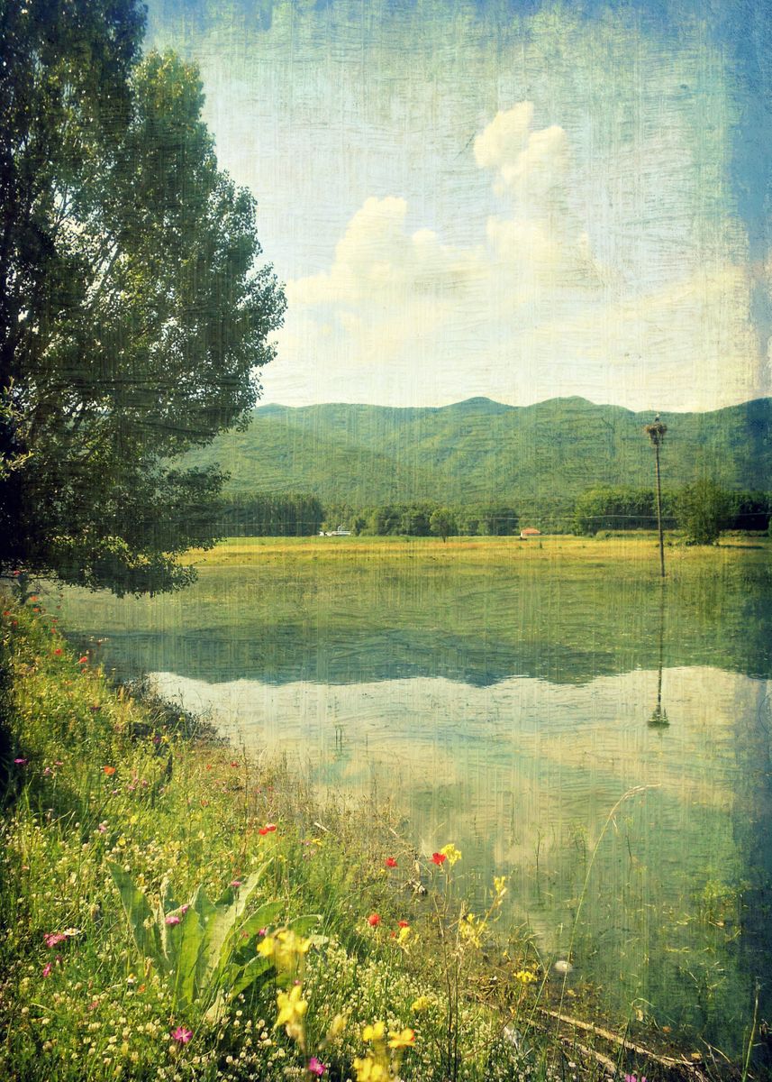 'Spring green lake shore ' Poster, picture, metal print, paint by ...