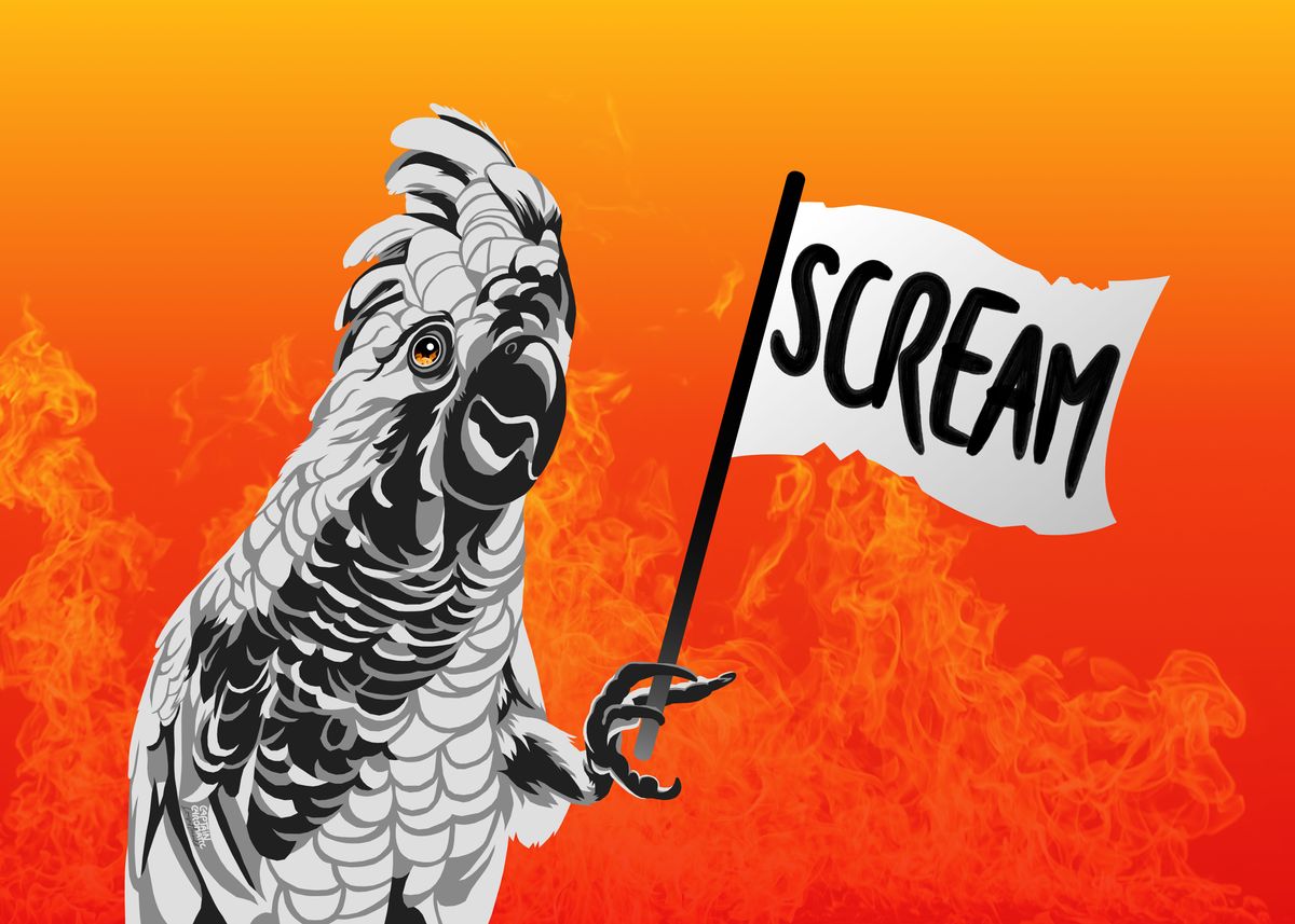 'Cockatoo scream flag' Poster by Captain Chromatic | Displate