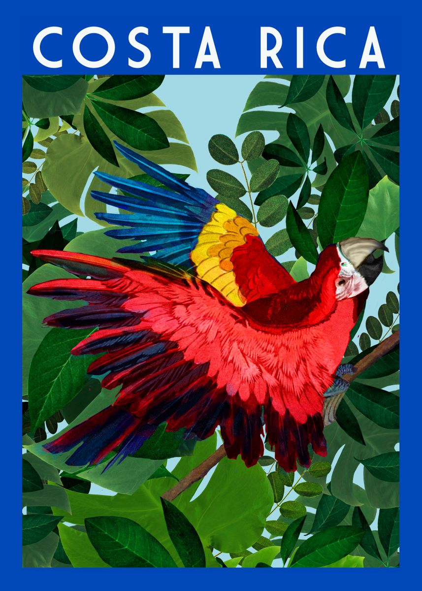 'Costa Rica' Poster, picture, metal print, paint by American Vintage ...