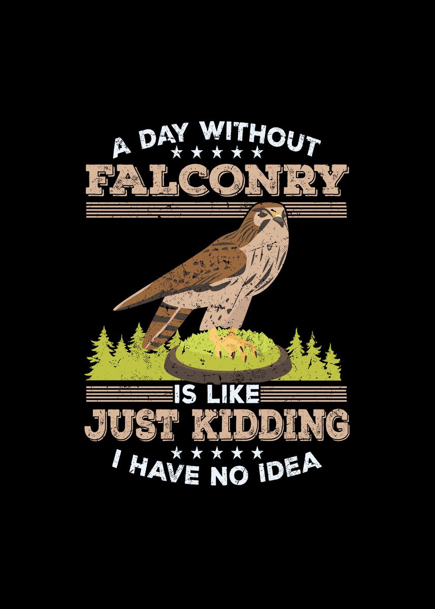 'Funny Falconry Falcon Gift' Poster, picture, metal print, paint by TW ...