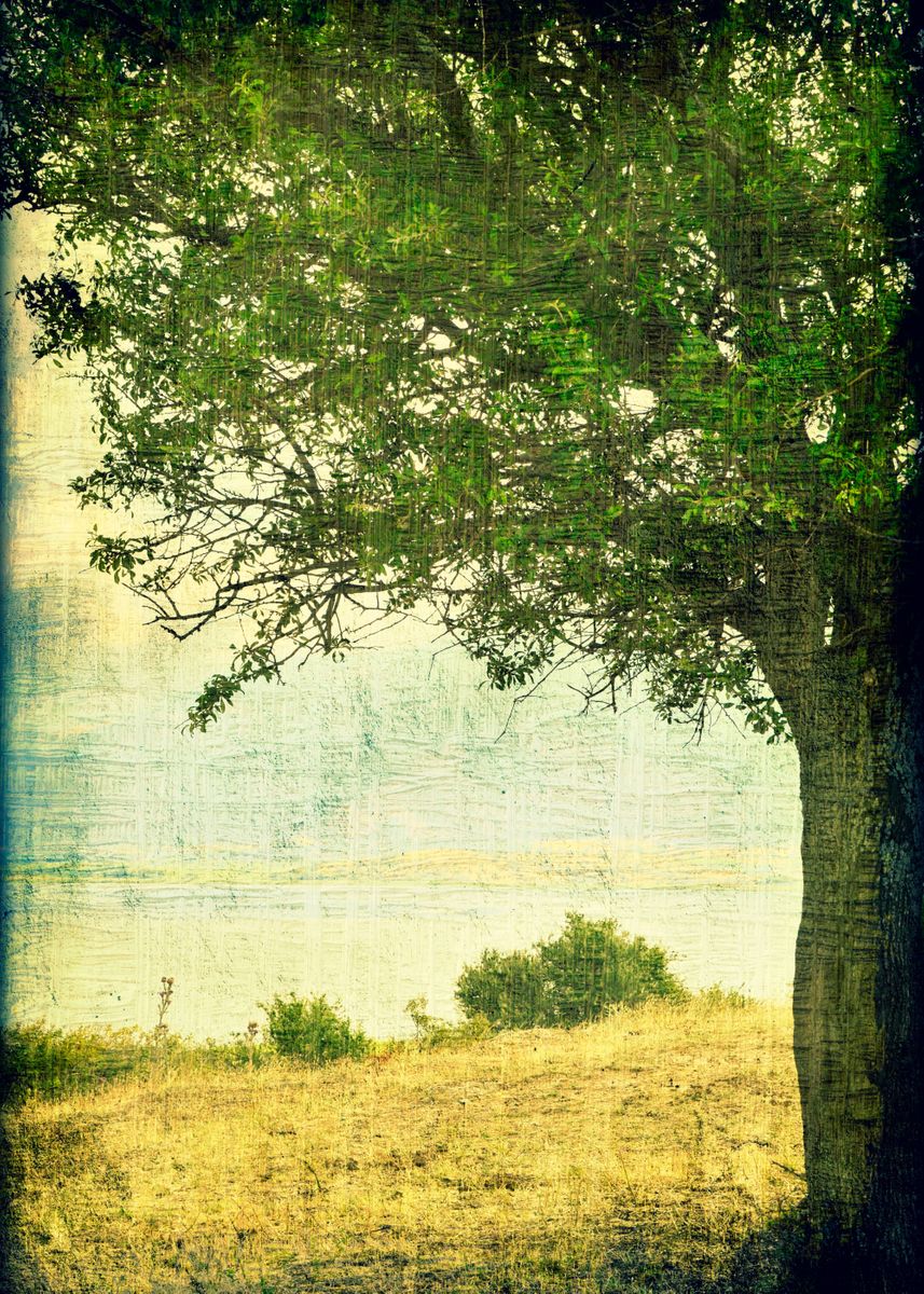 'Half peer tree portrait' Poster, picture, metal print, paint by Joanna ...