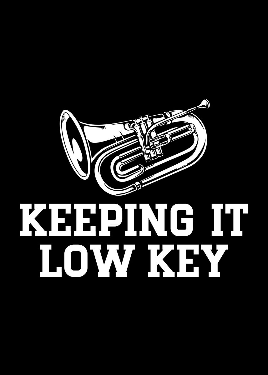 'Keeping It Low Key' Poster, picture, metal print, paint by FunnyGifts ...