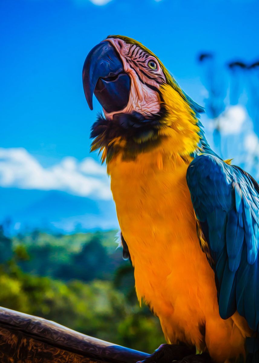 'Bird Photography ' Poster, picture, metal print, paint by Faa Ness ...