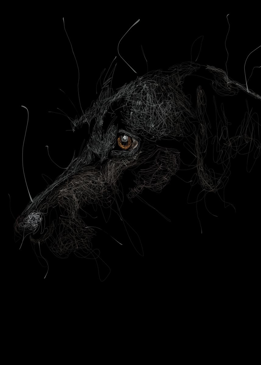 'Scribble Dog' Poster, picture, metal print, paint by Dhega Priya ...