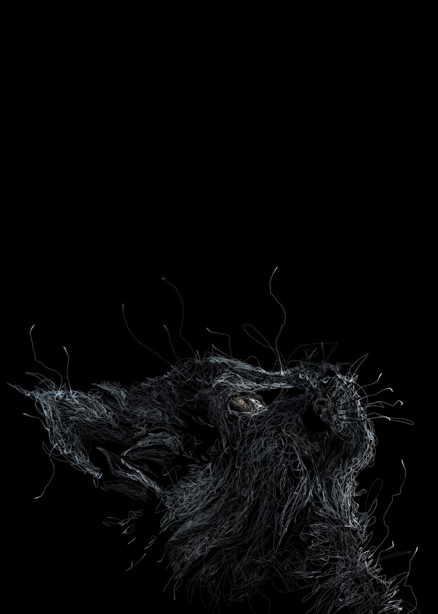 'Scribble Cat' Poster, picture, metal print, paint by Dhega Priya ...