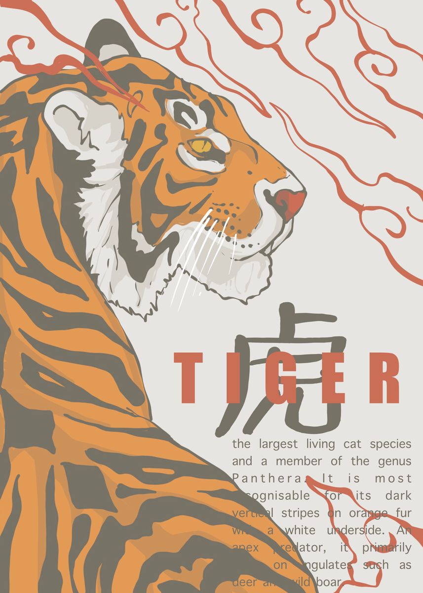 'tiger' Poster, picture, metal print, paint by amar maruf | Displate
