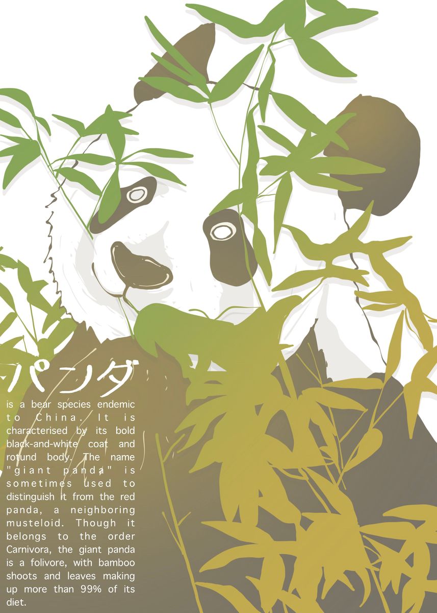 'Panda' Poster, picture, metal print, paint by amar maruf | Displate