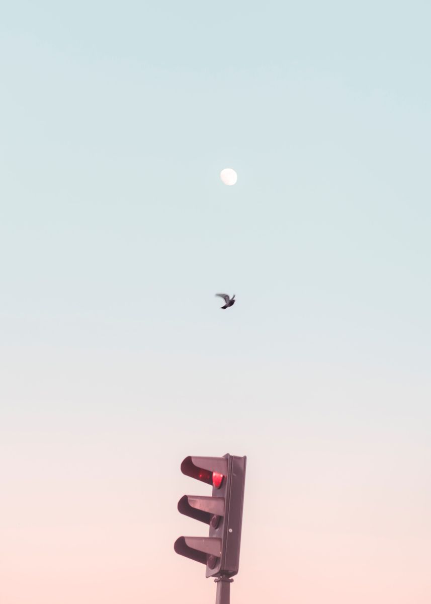 'Red Light' Poster, picture, metal print, paint by Laura Sanchez | Displate