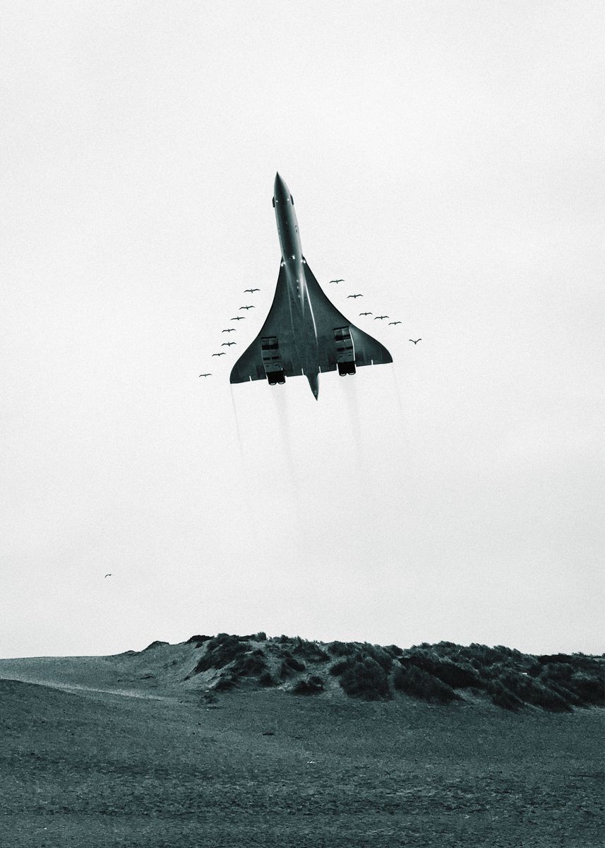 'concorde' Poster, picture, metal print, paint by cookaynne | Displate