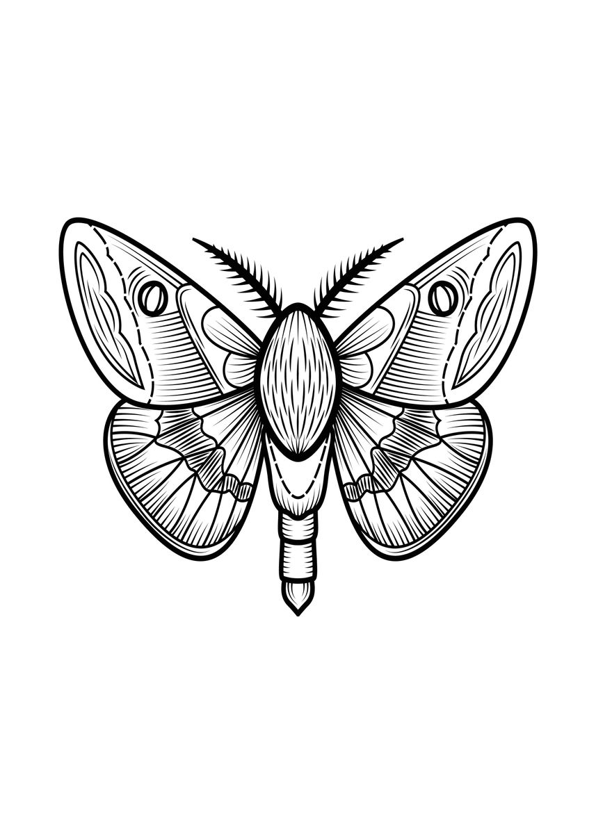 'insect art' Poster by Mild pic | Displate