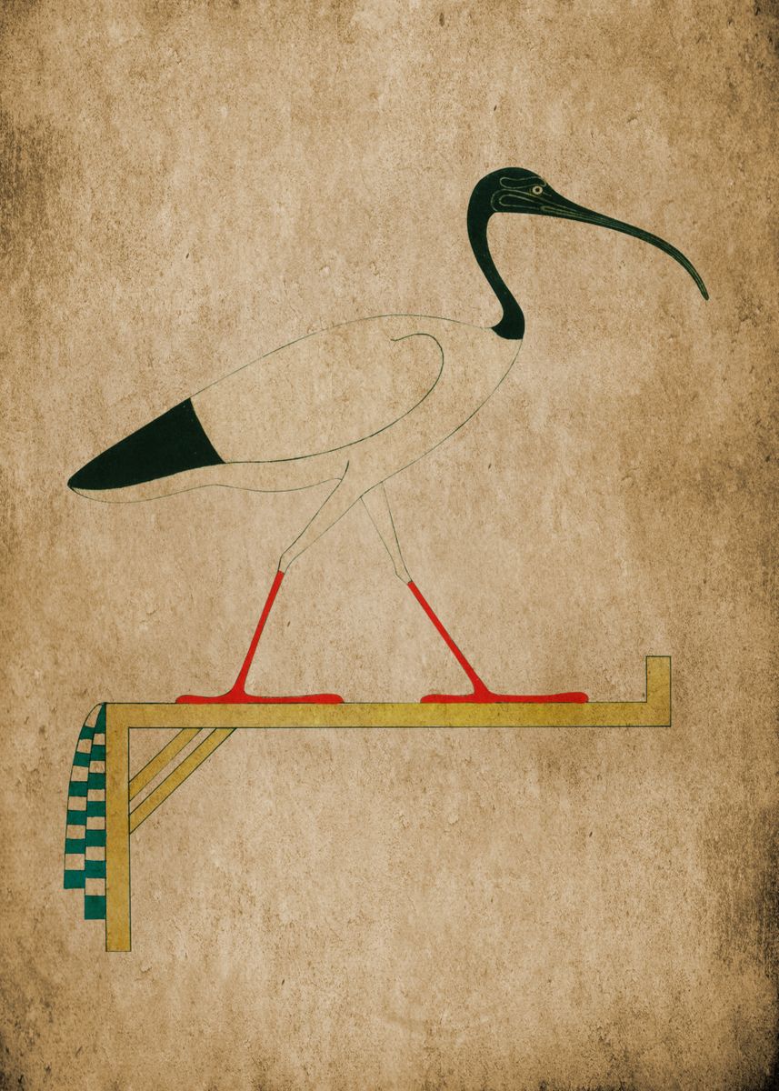 'Egyptian Ibis' Poster, picture, metal print, paint by XandYart | Displate
