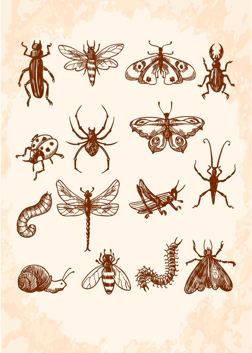 'insect ' Poster by wan studio 50 | Displate