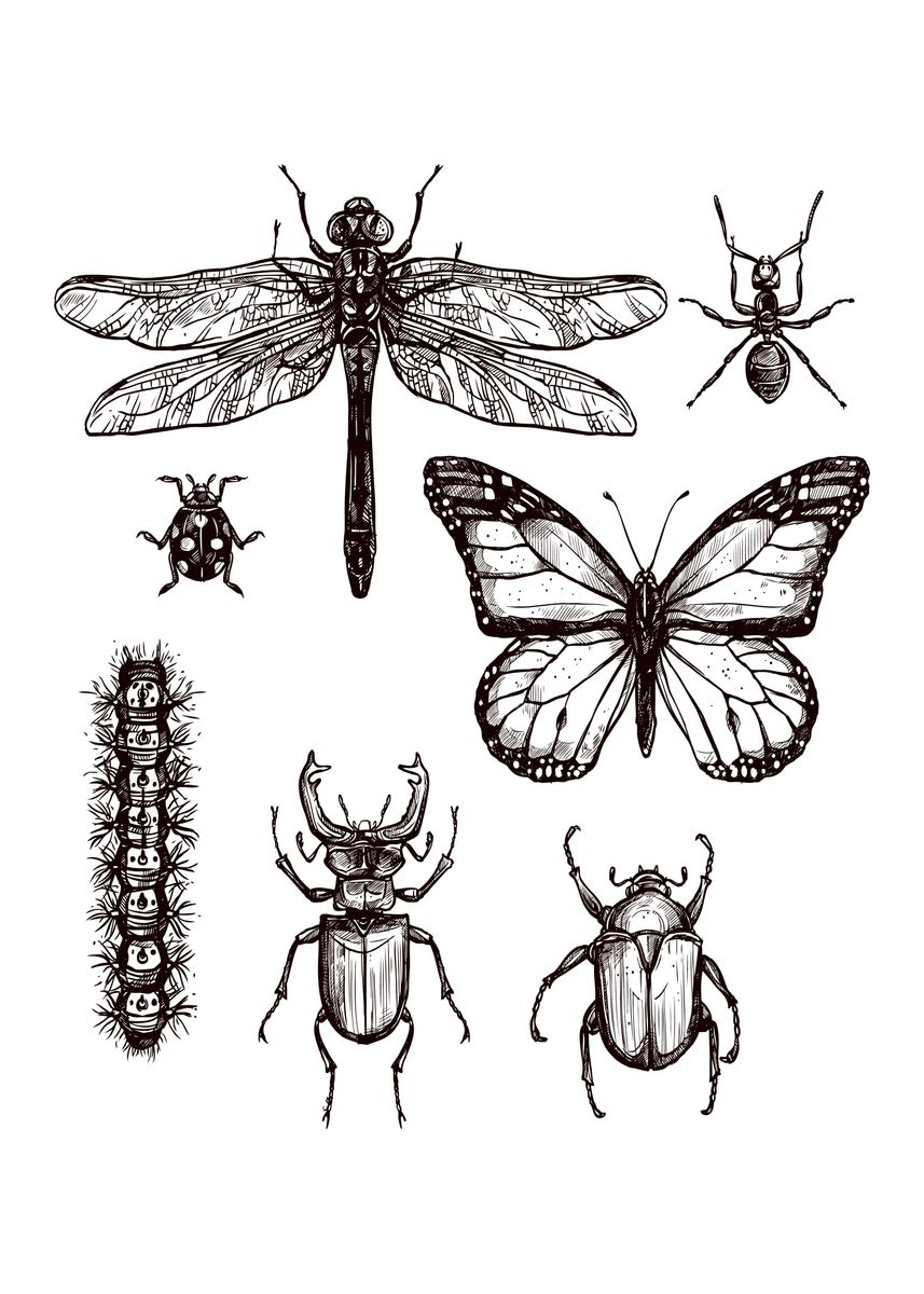 'insect' Poster by wan studio 50 | Displate