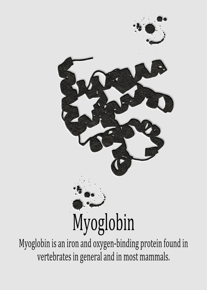 'Myoglobin' Poster by Clayborne Frank | Displate