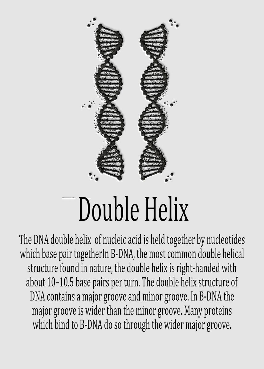 'Double Helix' Poster, picture, metal print, paint by Clayborne Frank ...
